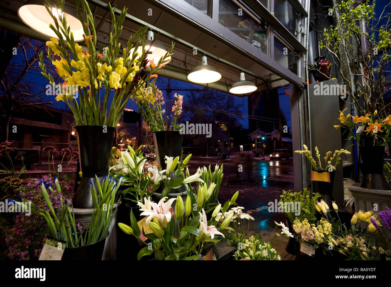 Washington flowers market retail hi-res stock photography and images ...