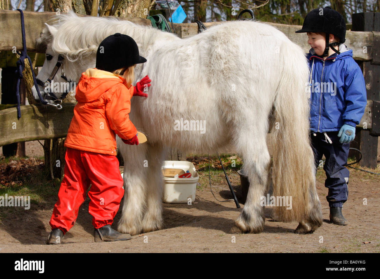 two young children grooming their pony Stock Photo - Alamy