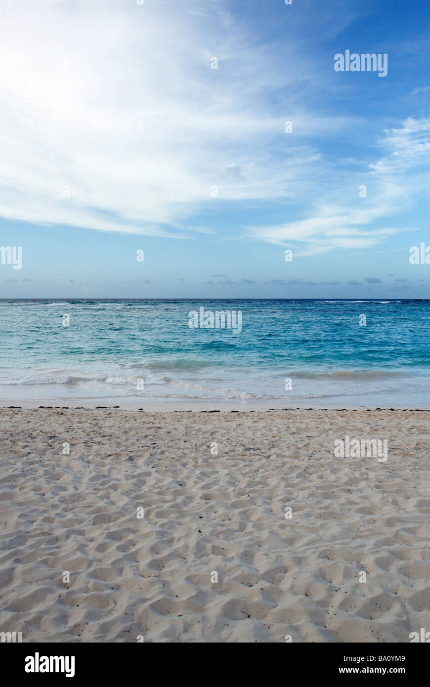 Nitschkefoto hi-res stock photography and images - Alamy