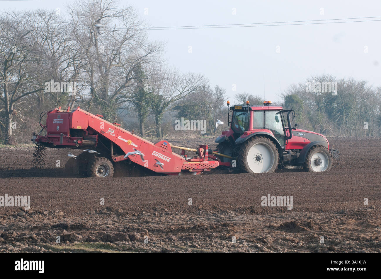 Potato crisps production hi-res stock photography and images - Alamy