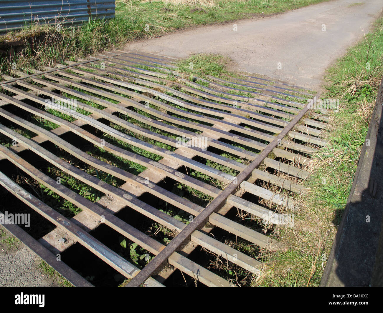 Cattle grid on country road Stock Photo - Alamy