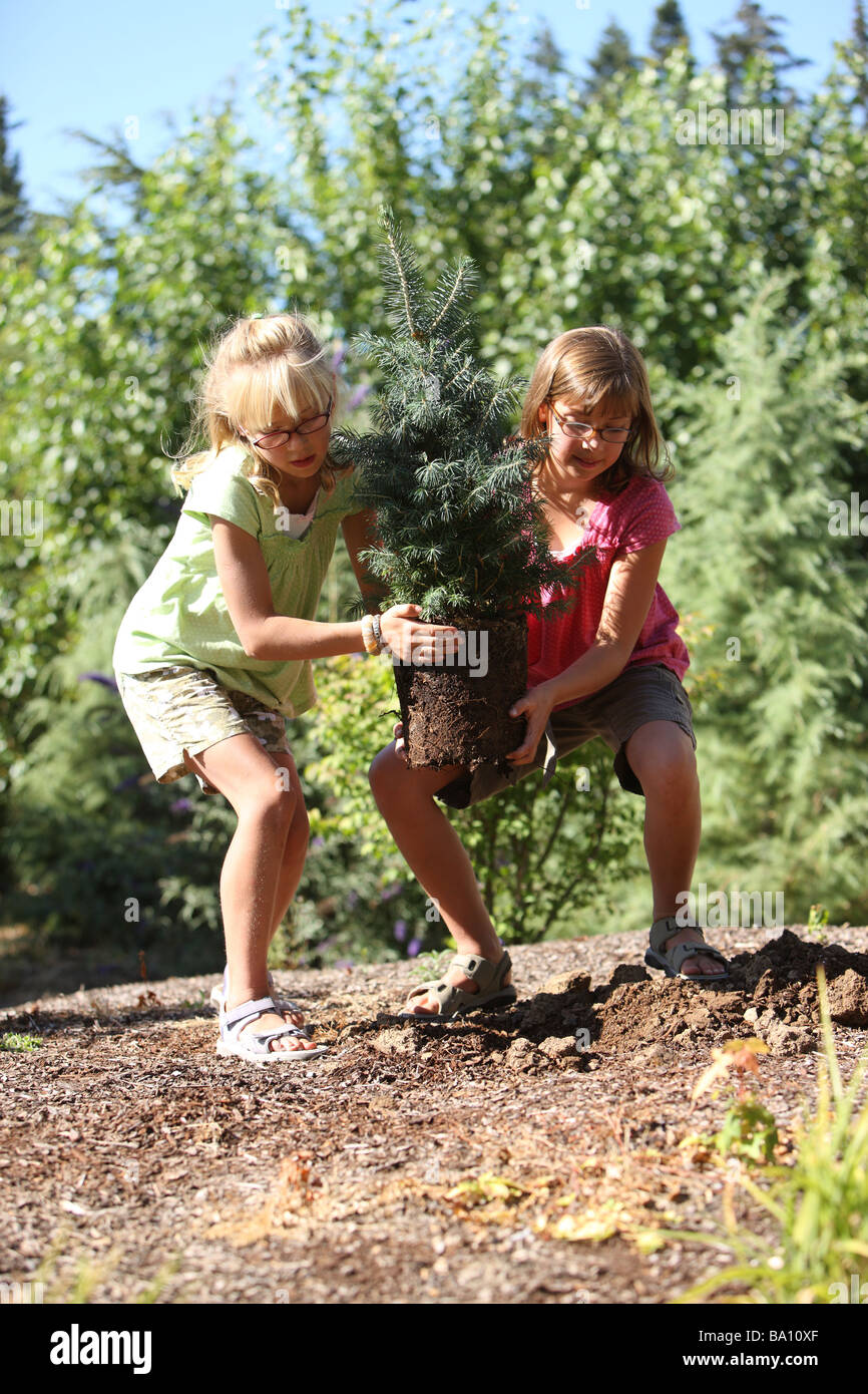 Two girls planting tree Stock Photo - Alamy