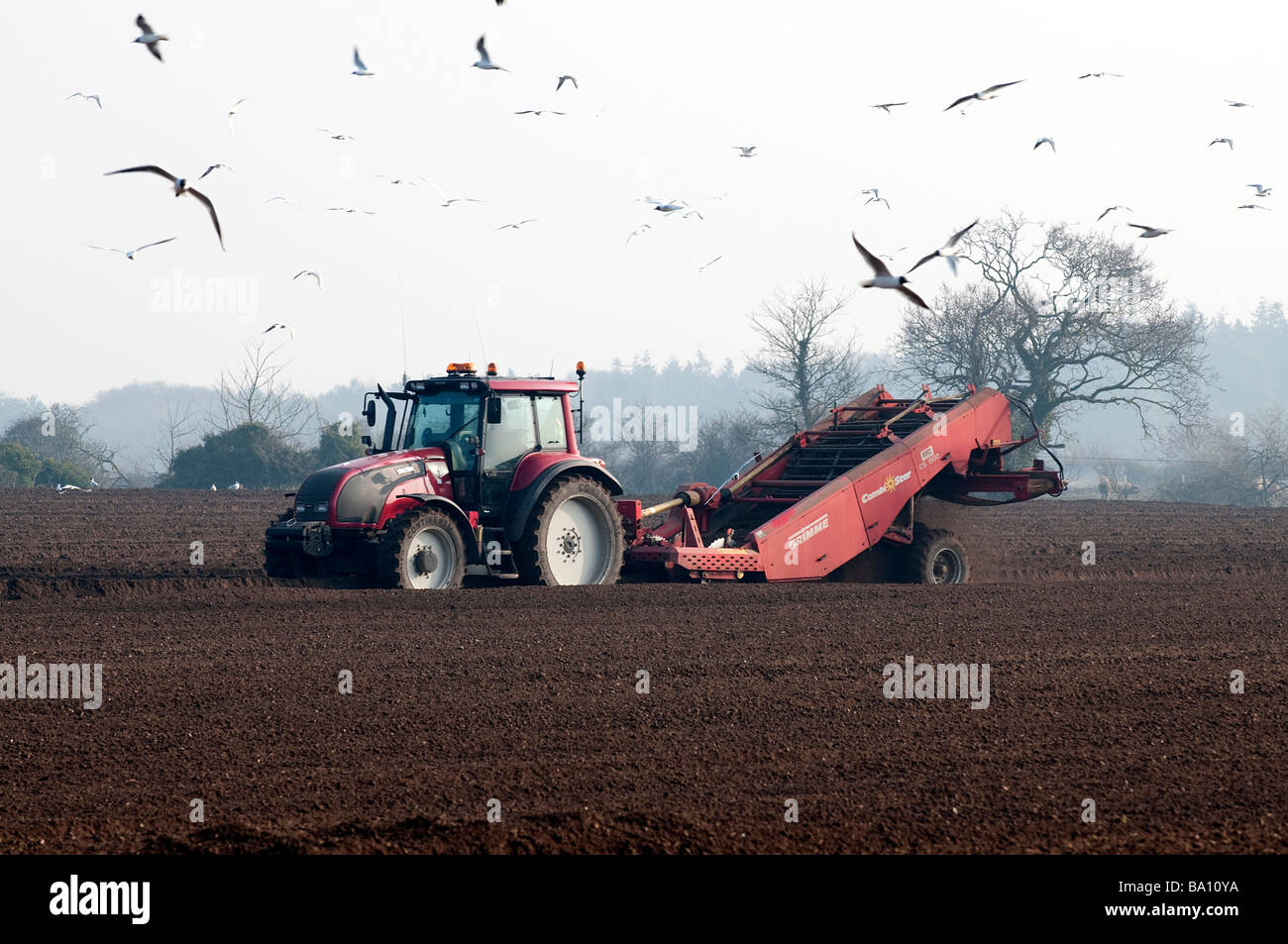 Destoning High Resolution Stock Photography and Images - Alamy