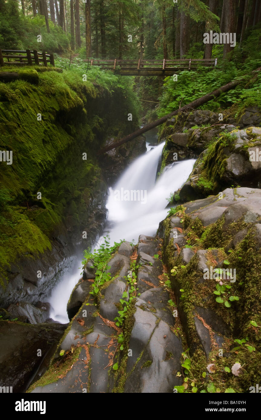 Sol duc falls trail hi-res stock photography and images - Alamy