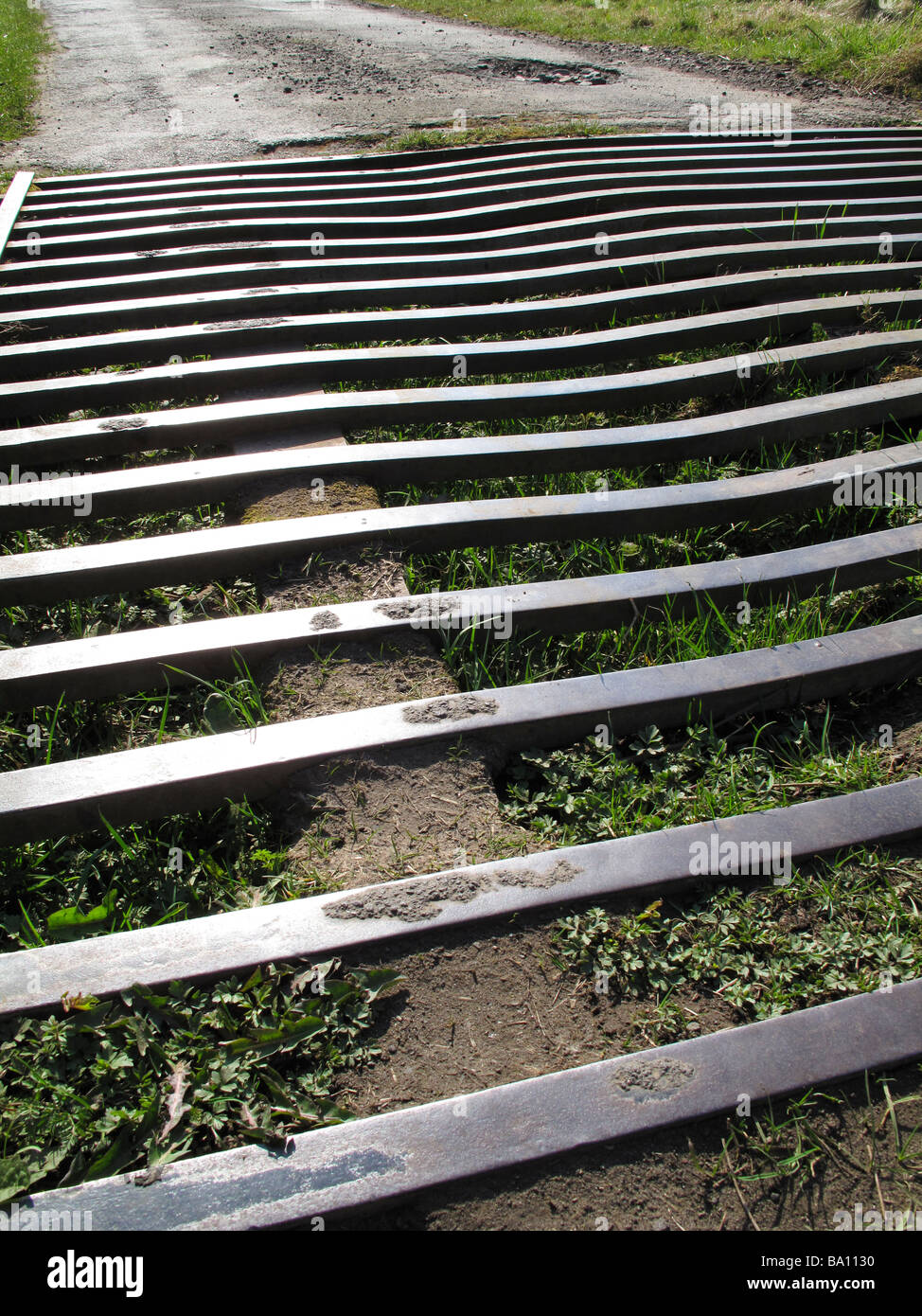 Cattle grid on country road Stock Photo - Alamy