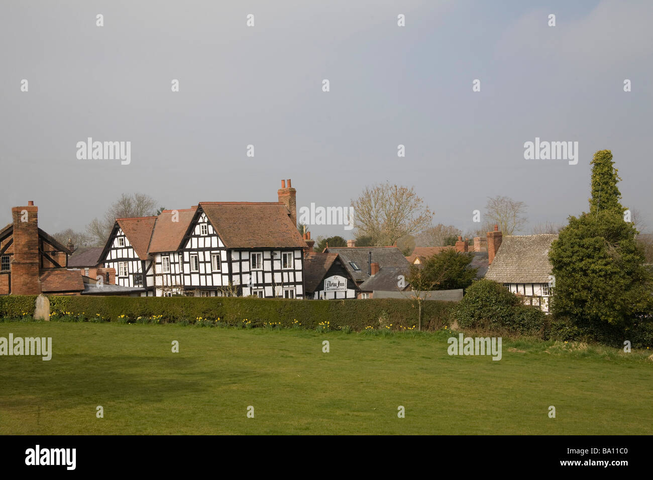 Pembridge Herefordshire England UK March Looking across village green ...