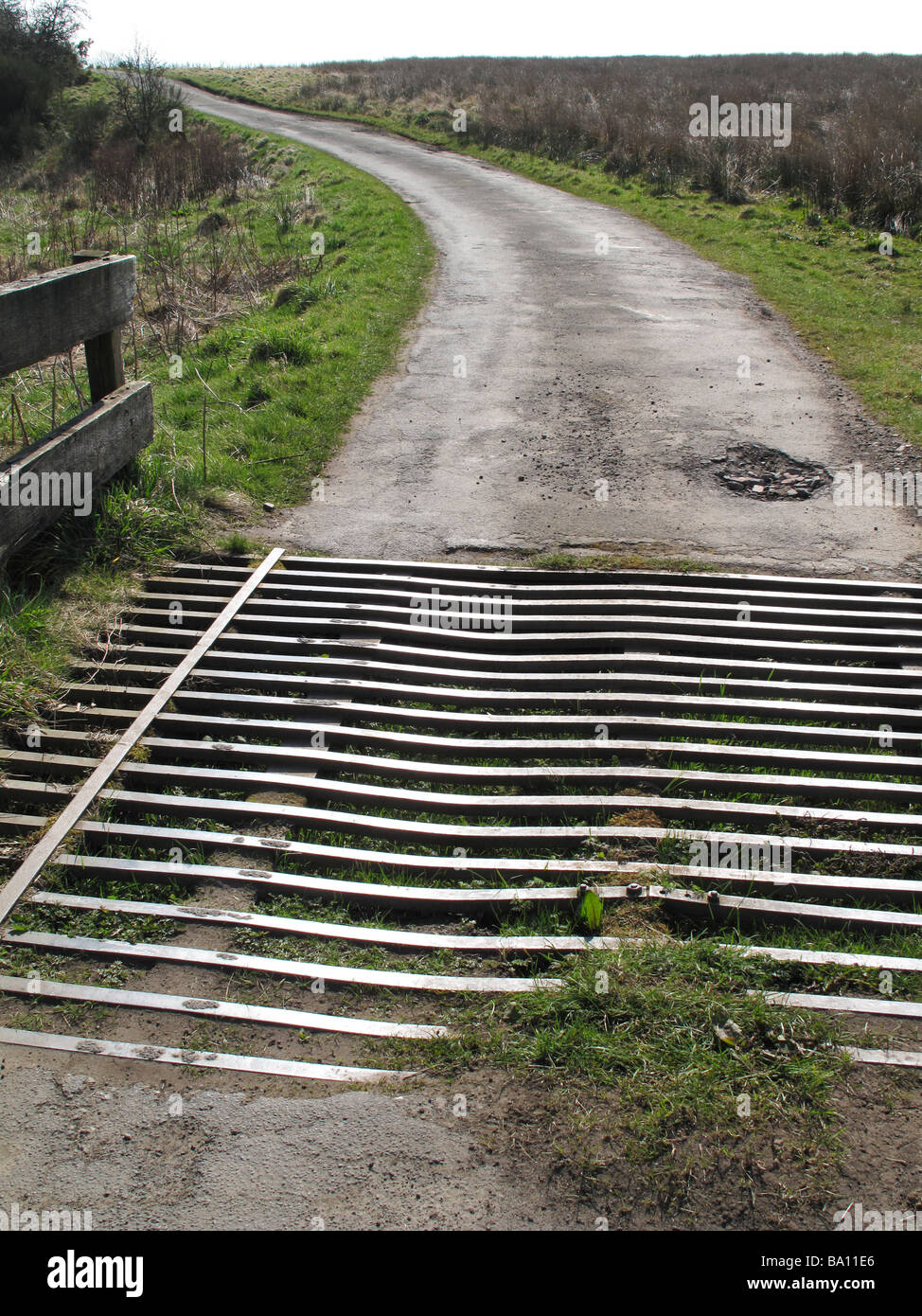 Cattle grid on country road Stock Photo - Alamy