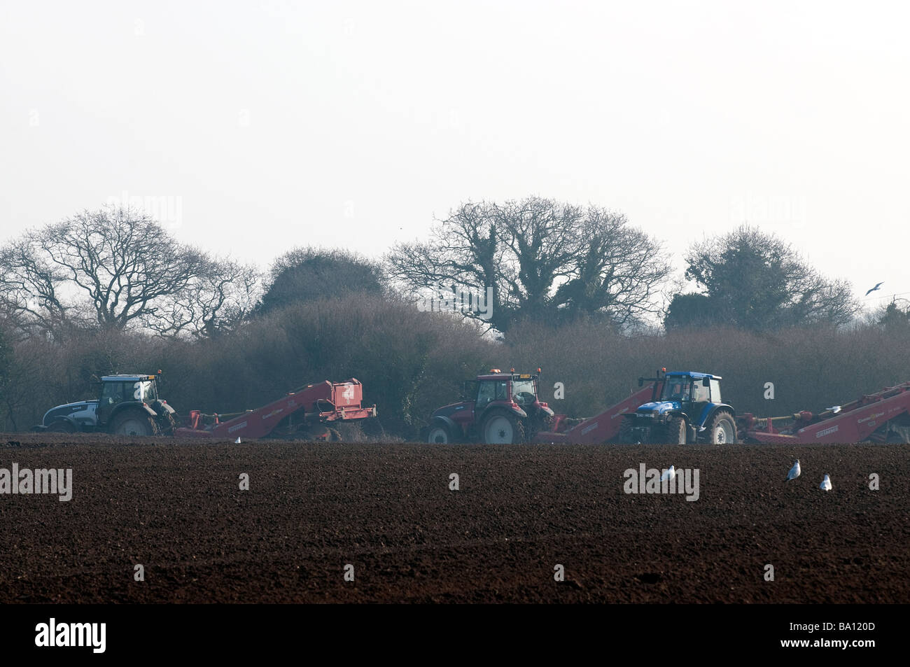 Destoning hi-res stock photography and images - Alamy