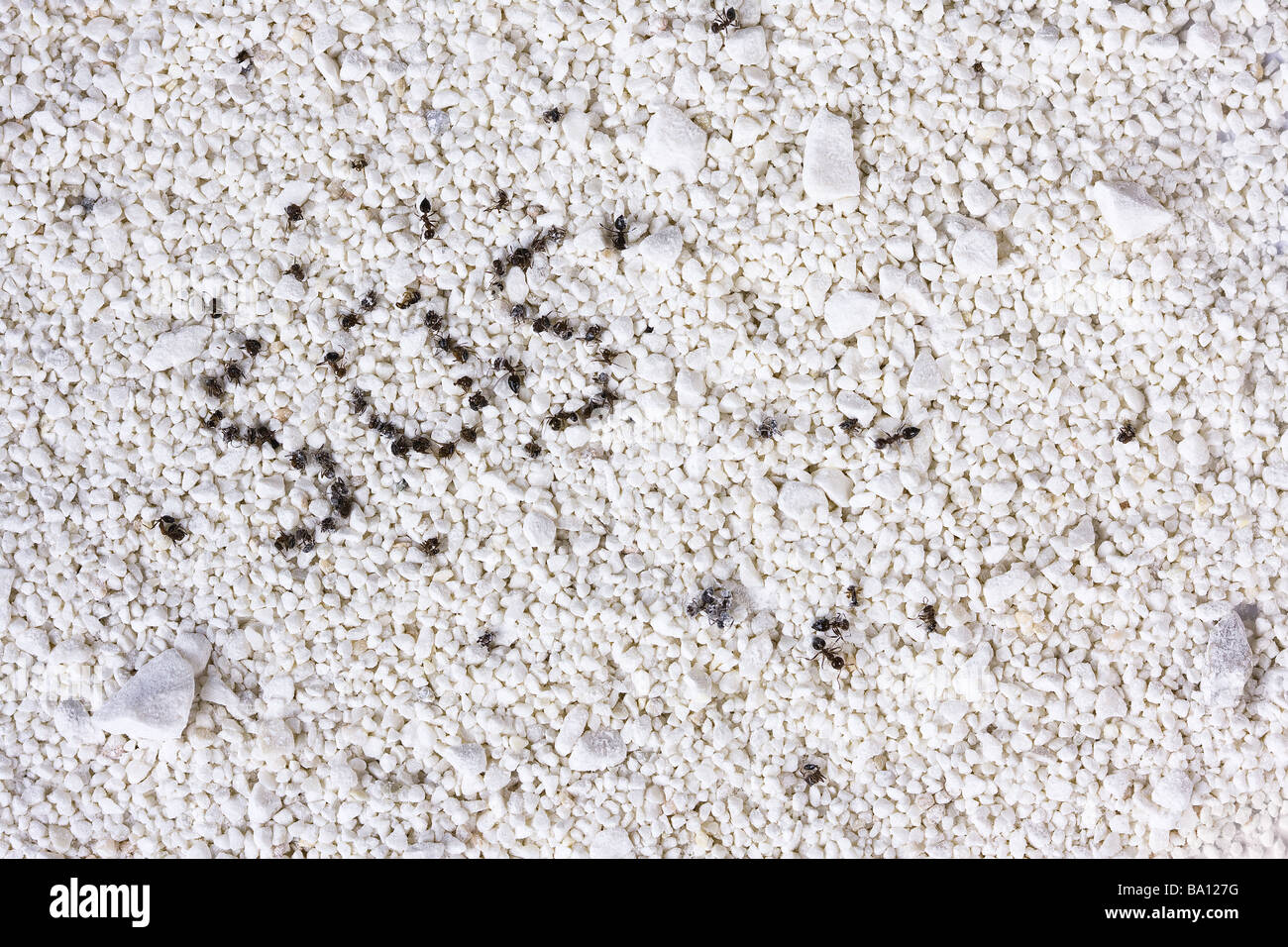 Sos sign symbol hi-res stock photography and images - Alamy