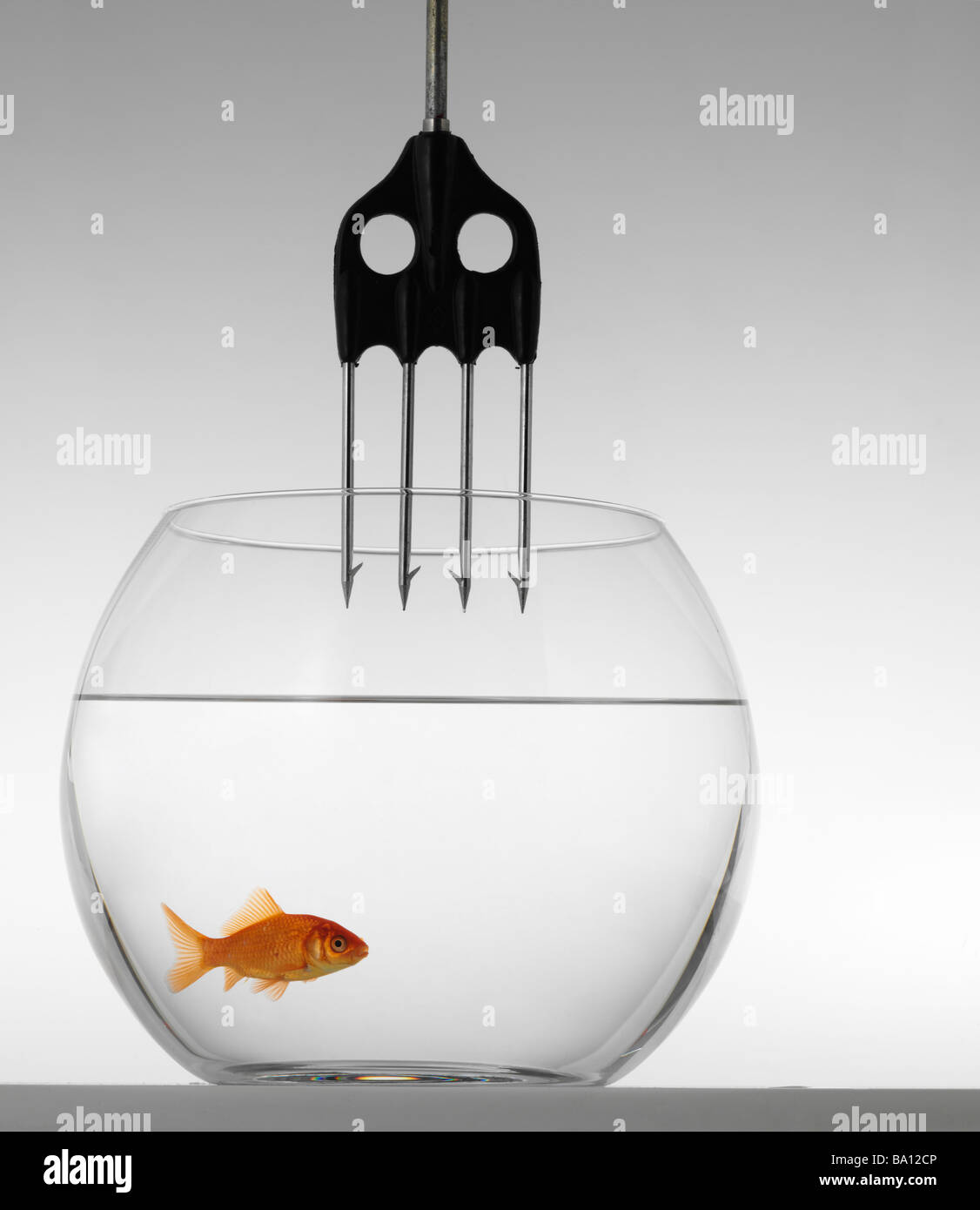 goldfish in danger Stock Photo - Alamy