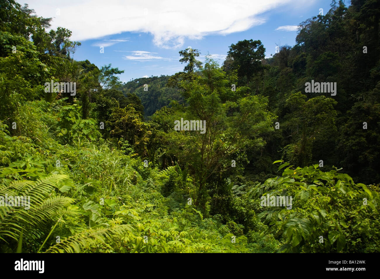Valencia, Dumaguete, Negros Oriental Island, Philippines, Southeast ...