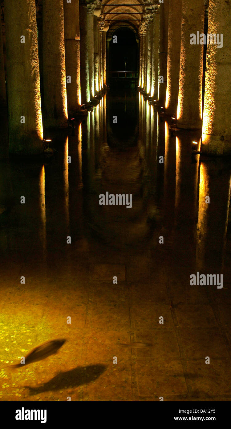 A fish swims in the Basilica Cistern, Yerebatan Sarnıcı, of the ...