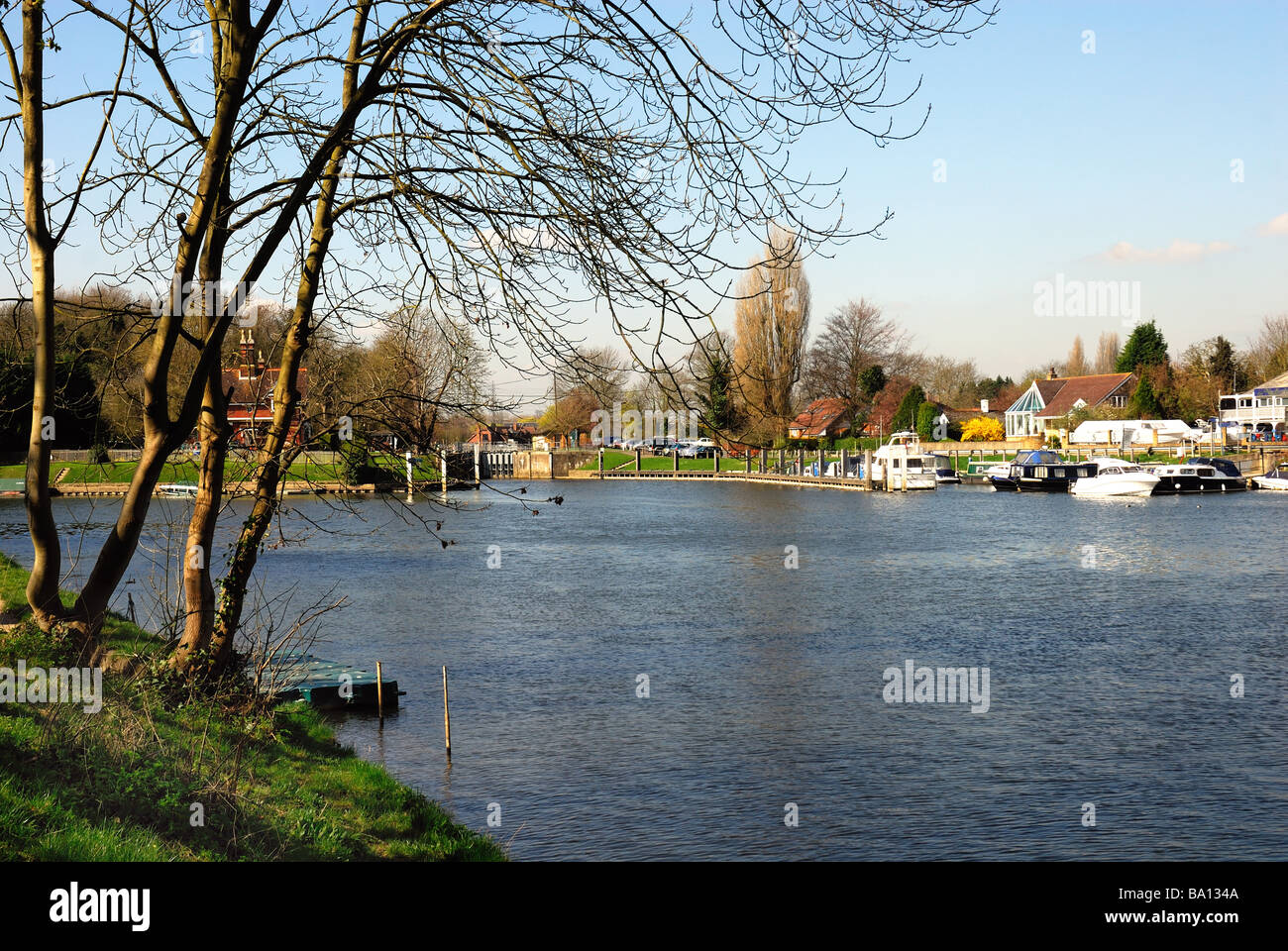 River Thames at Shepperton lock Stock Photo - Alamy