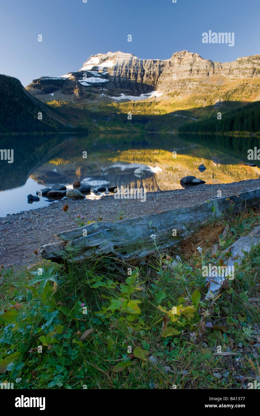 Cameron Lake, Alberta, Canada Stock Photo - Alamy