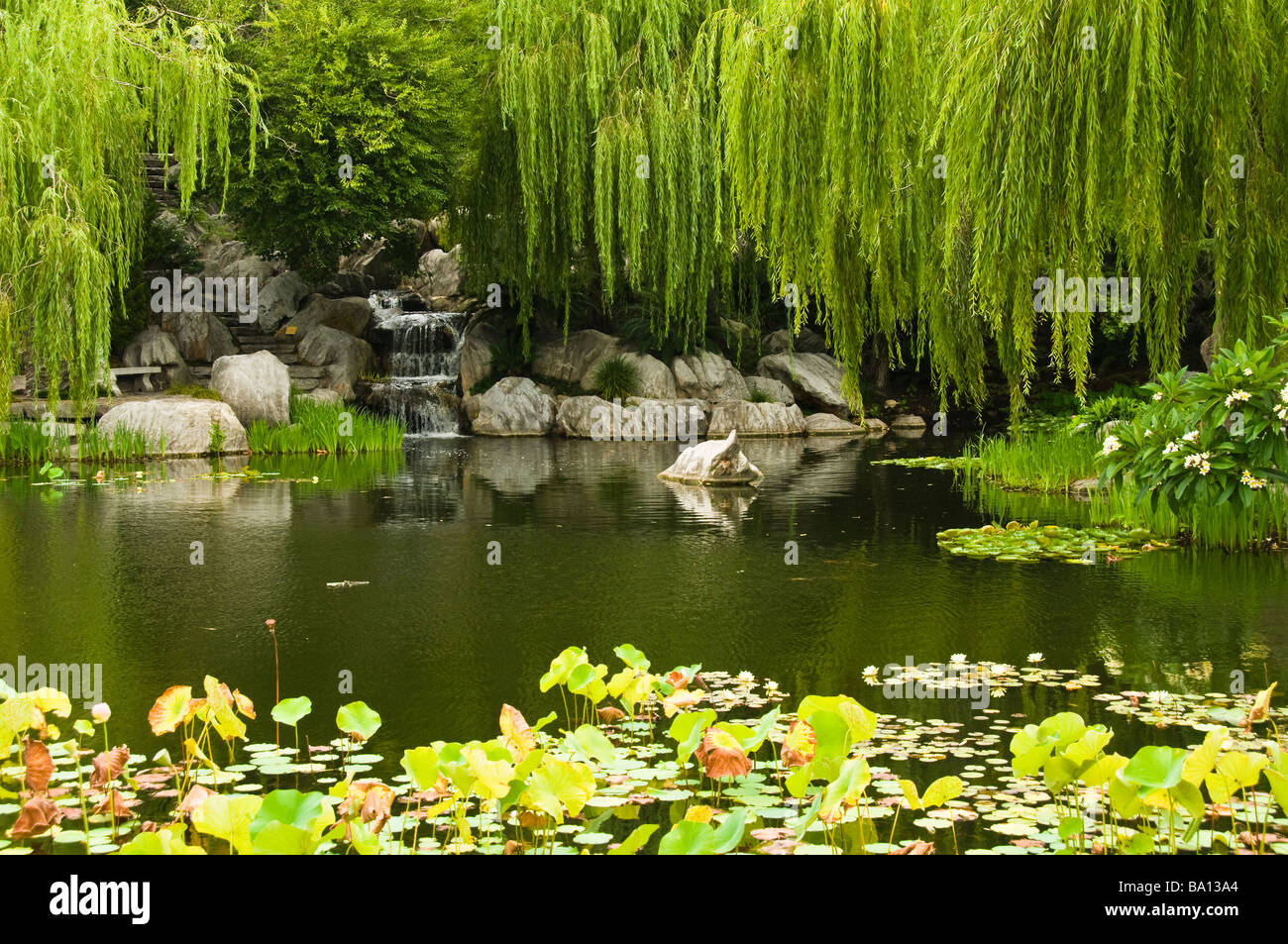 Chinese garden of friendship sydney hi-res stock photography and images ...