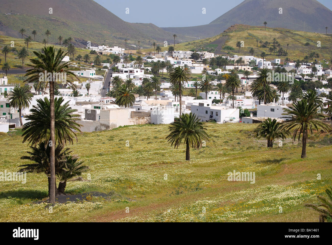 Valley Of The Thousand Palms High Resolution Stock Photography and ...