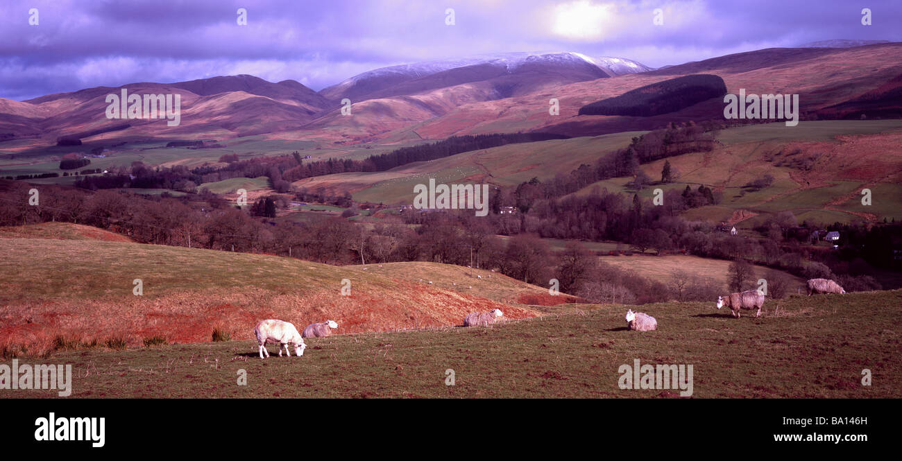 Southern Uplands Of Scotland High Resolution Stock Photography and ...