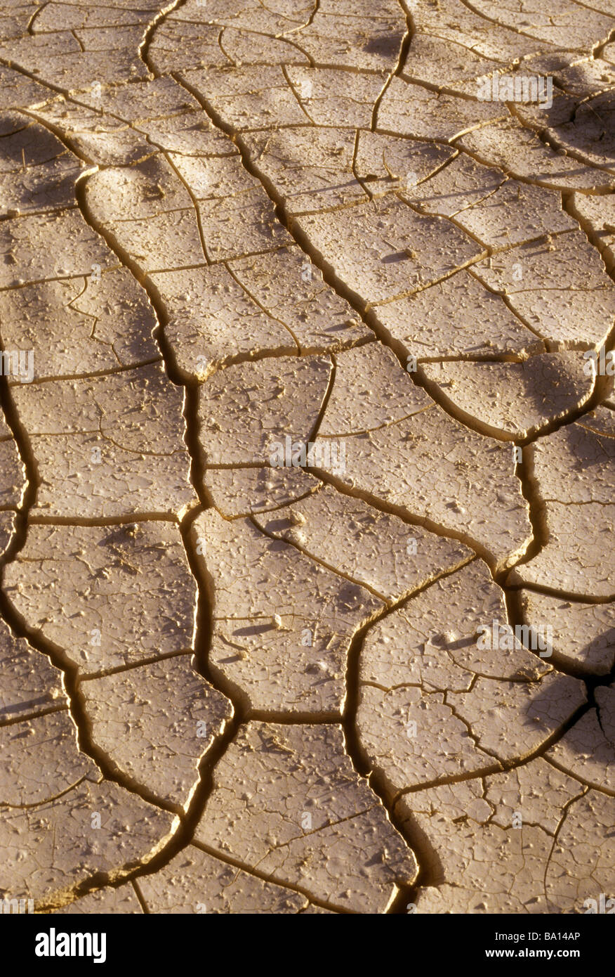 Dry crack mud desert dirt wet weather hard clay soil environment nature ...