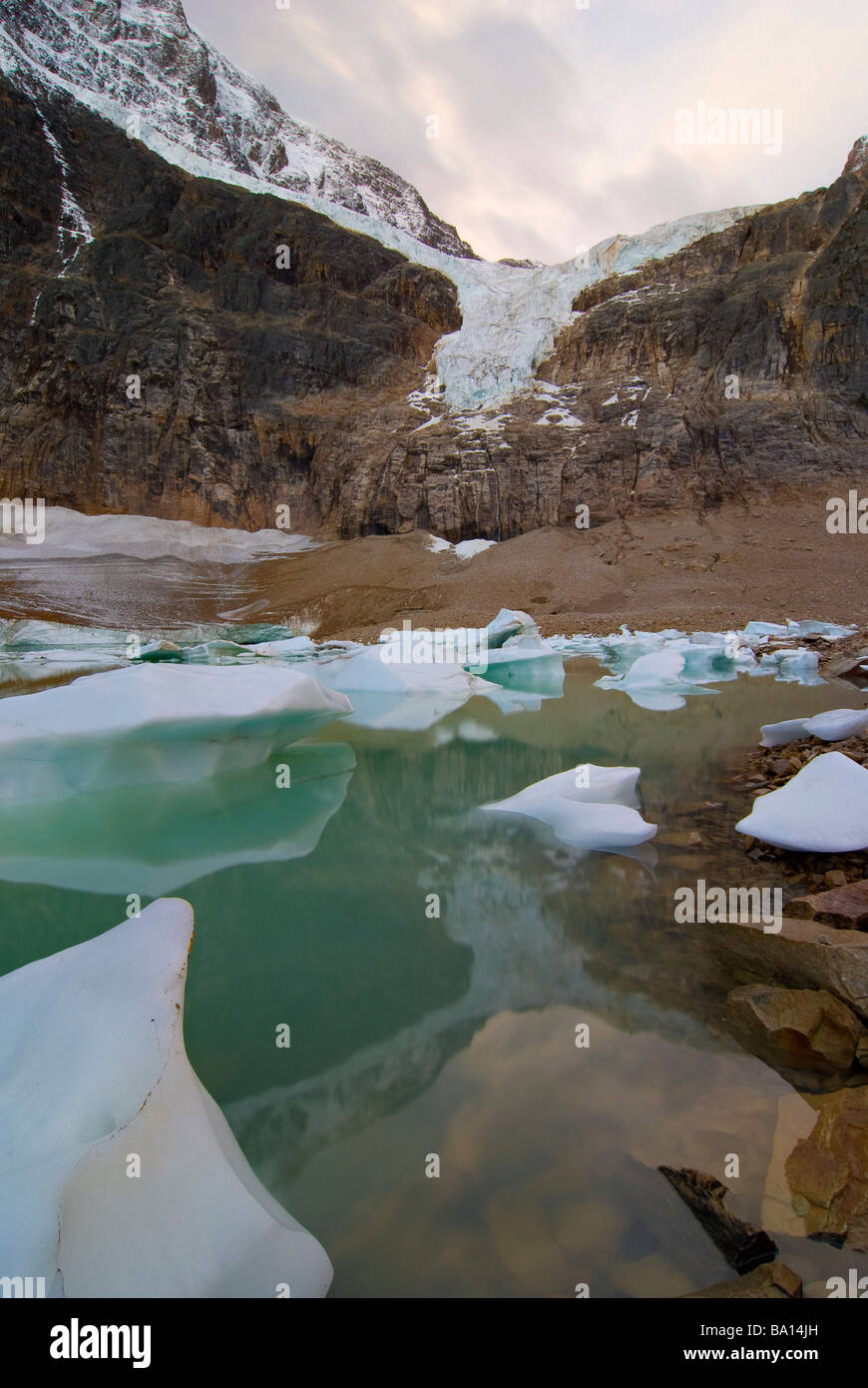 Mount Edith Cavell, Jasper, Alberta, Canada Stock Photo - Alamy
