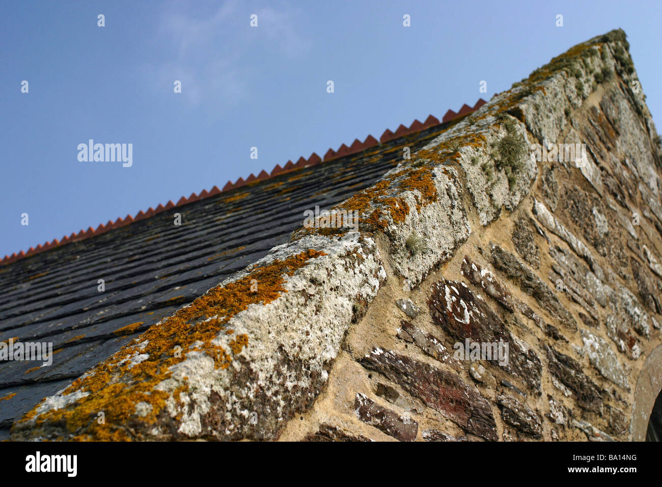 Cornish church roof with lichen Cornwall UK Stock Photo - Alamy