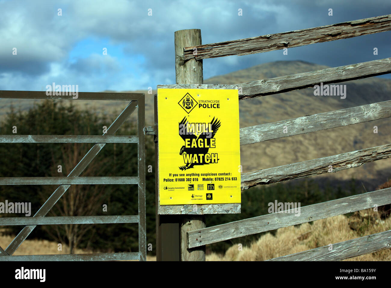 Mull eagle watch campaign poster Stock Photo - Alamy
