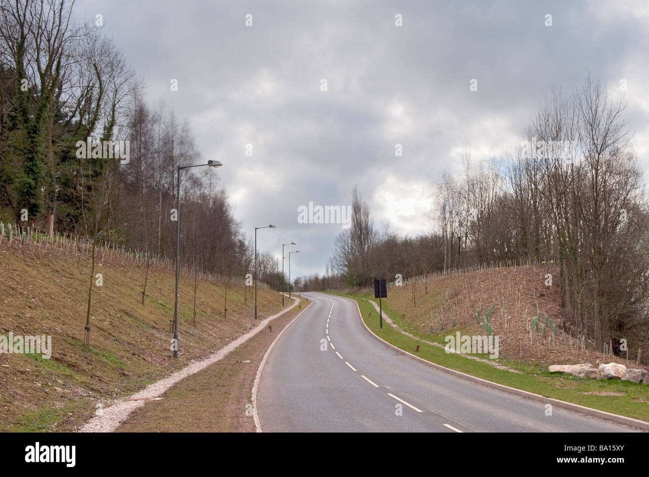 New Saplings planted on a road and embankment Stock Photo - Alamy