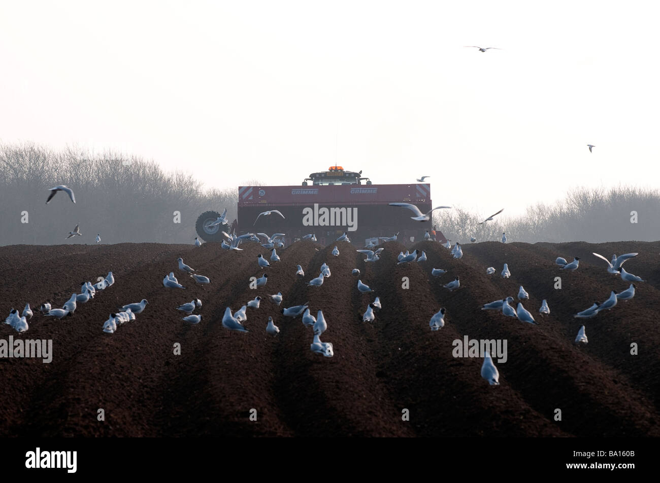 Destoning hi-res stock photography and images - Alamy