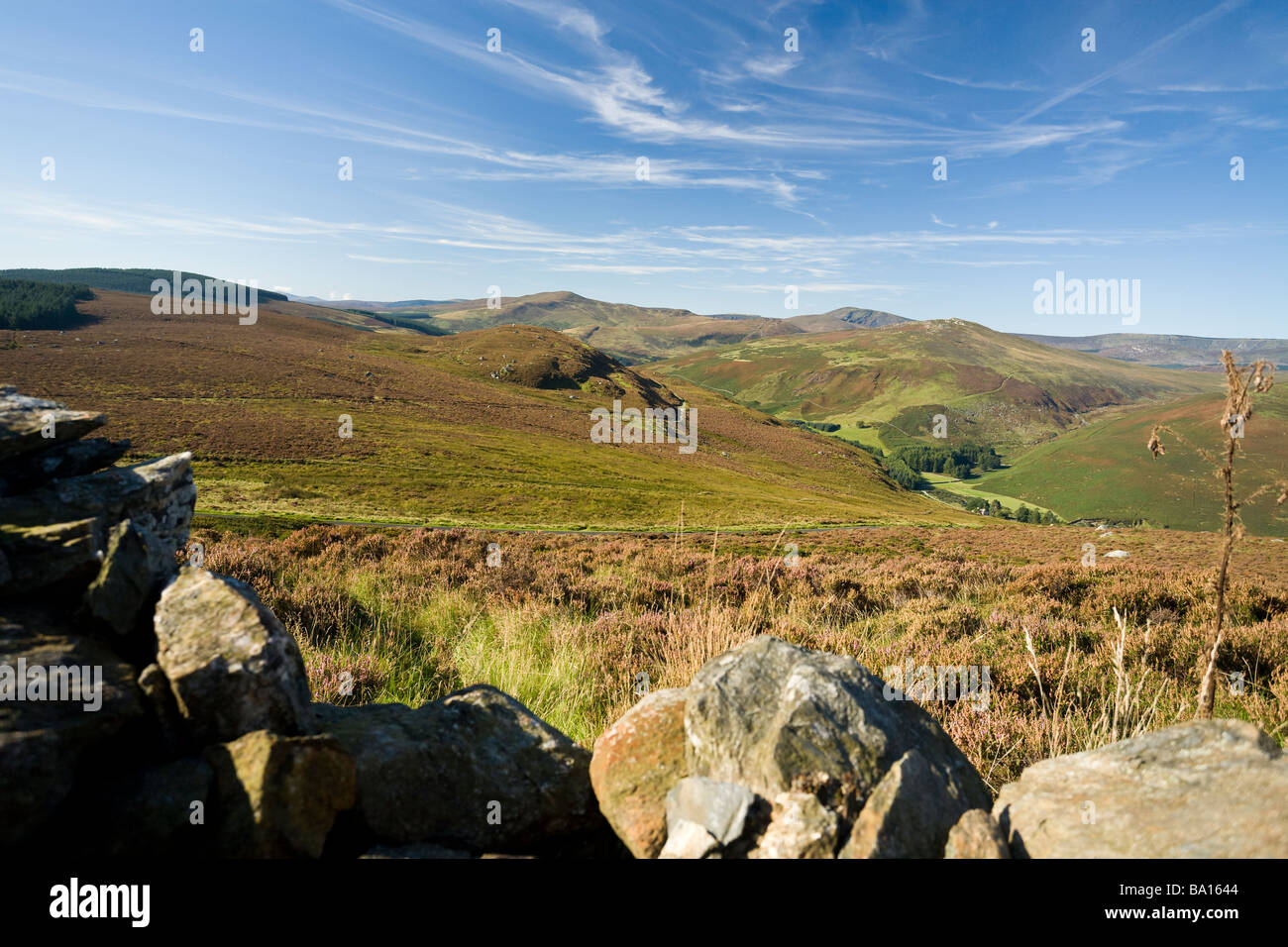 Wicklow Mountains Heathland. The treeless bracken and grassy landscape ...
