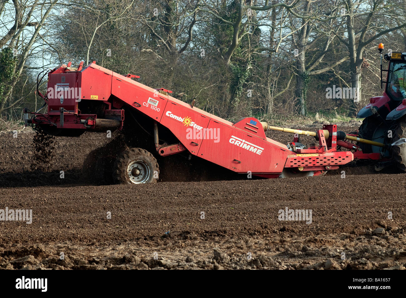 Destoning a field and planting potatoes Stock Photo - Alamy