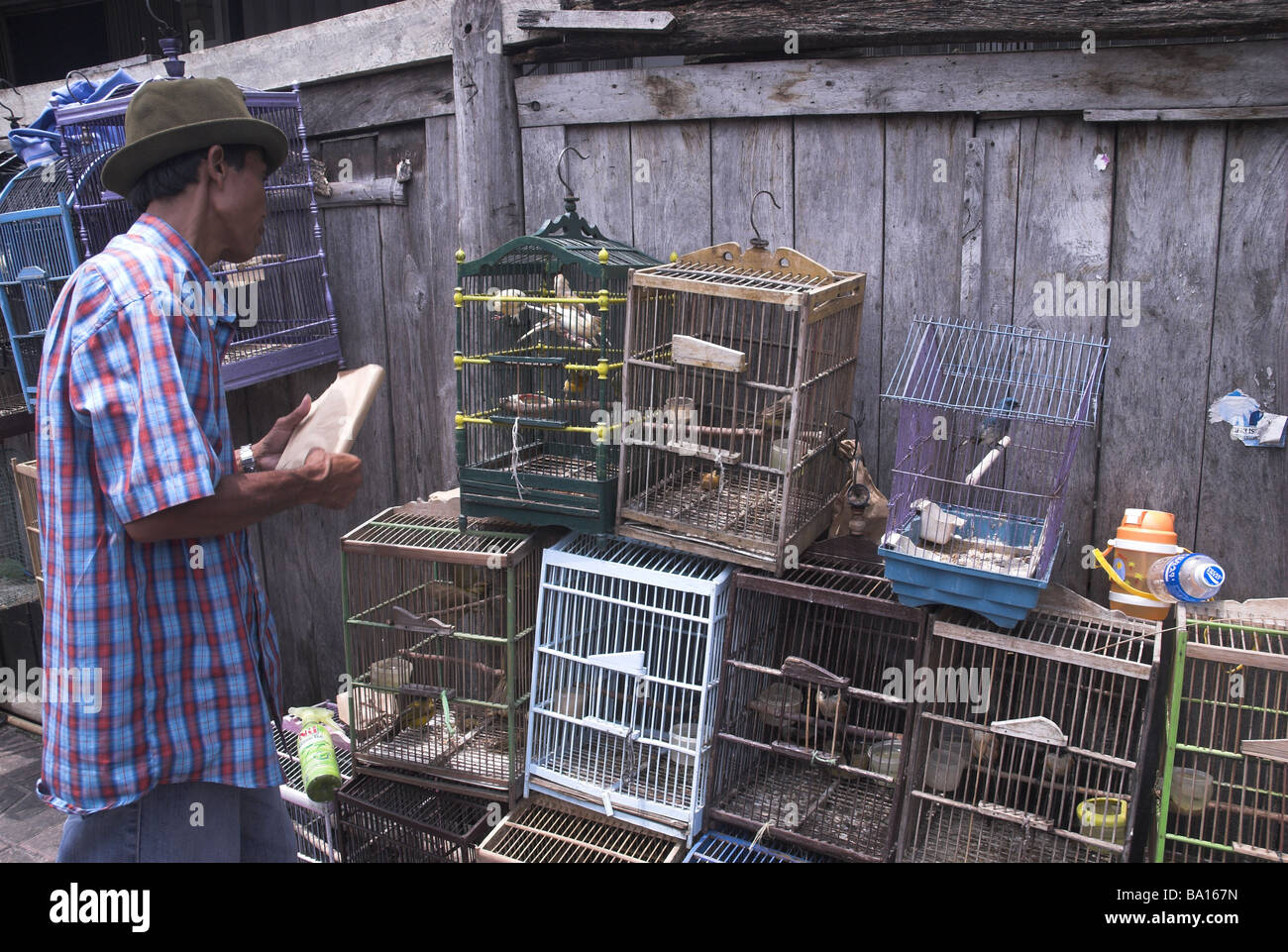 Bird Market, Yogyakarta, Indonesia Stock Photo - Alamy