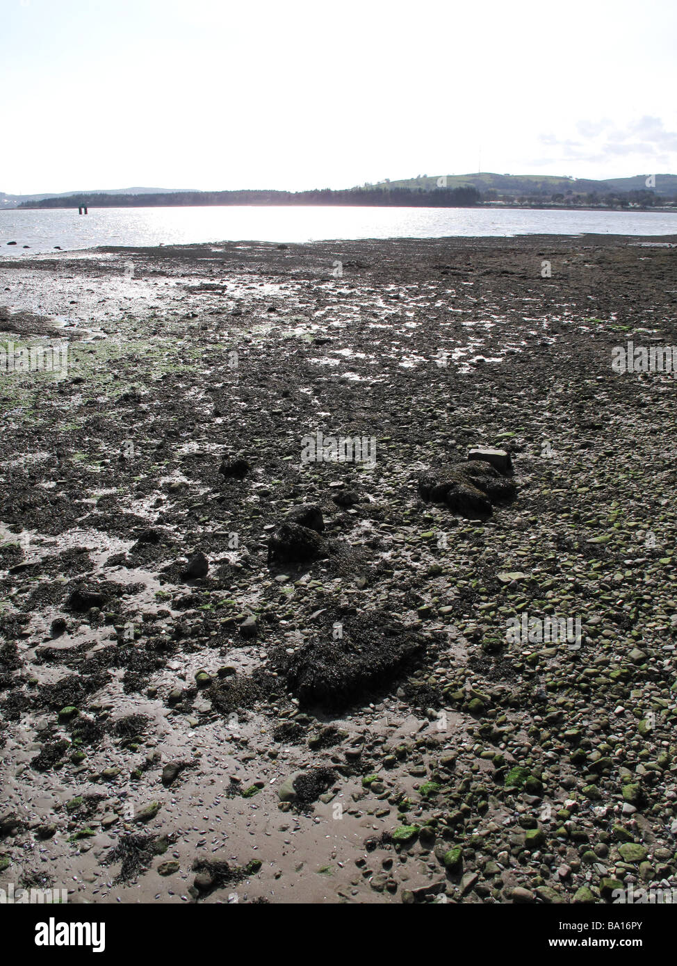 Foreshore rocks hi-res stock photography and images - Alamy