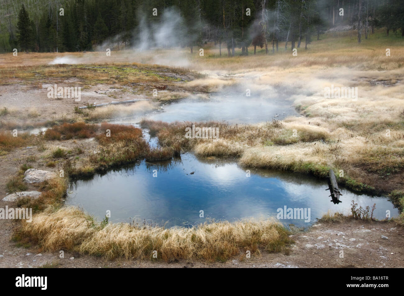 Thermal pool Yellowstone National Park Wyoming USA Stock Photo - Alamy