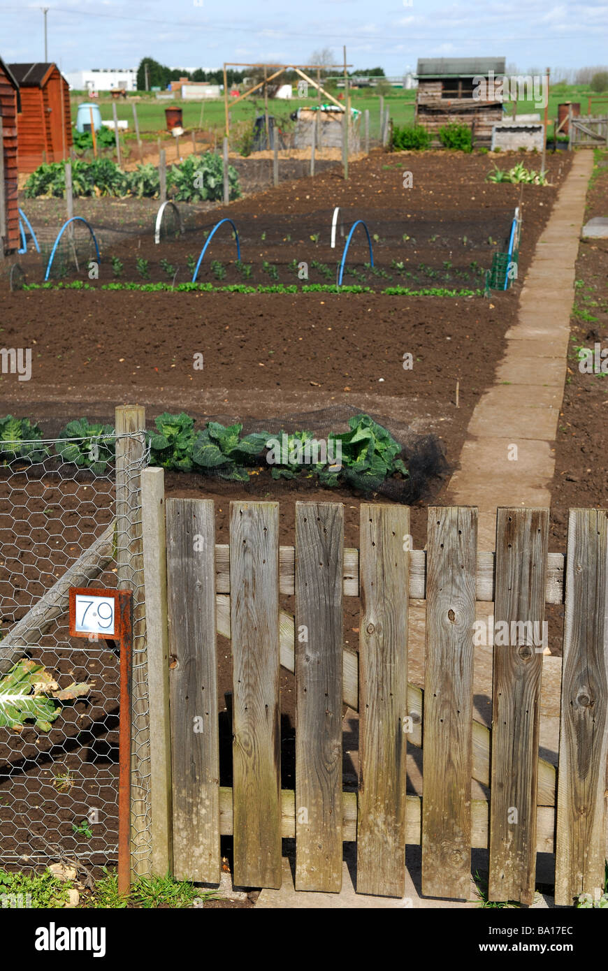 Alloment plot hi-res stock photography and images - Alamy