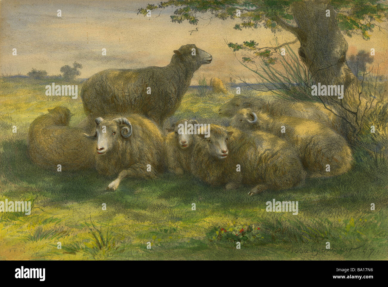 Marie rosa bonheur hi-res stock photography and images - Alamy