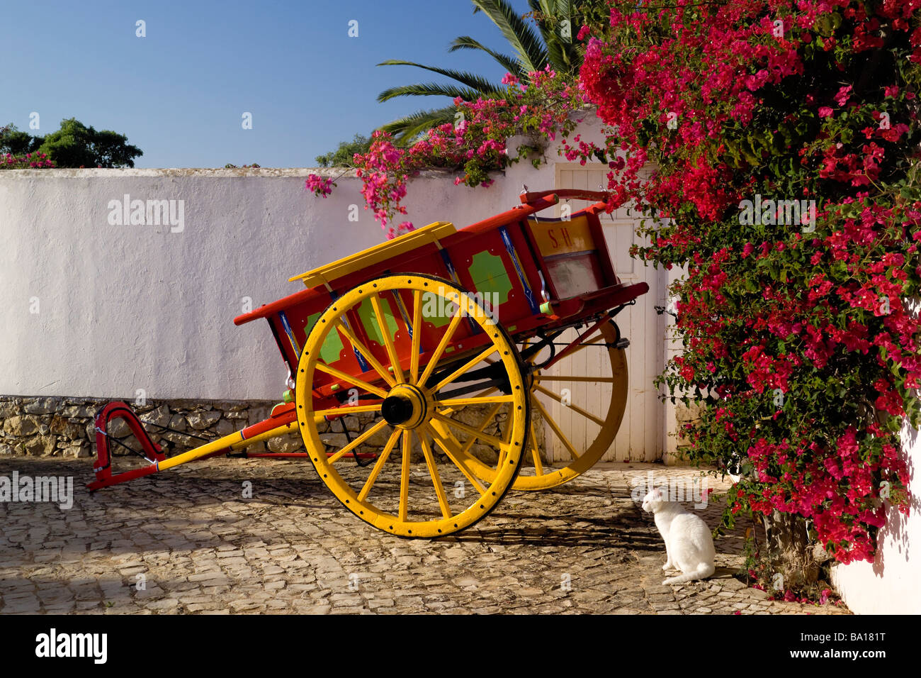 Portugal the Algarve typical painted cart and bougainvillaea in flower ...