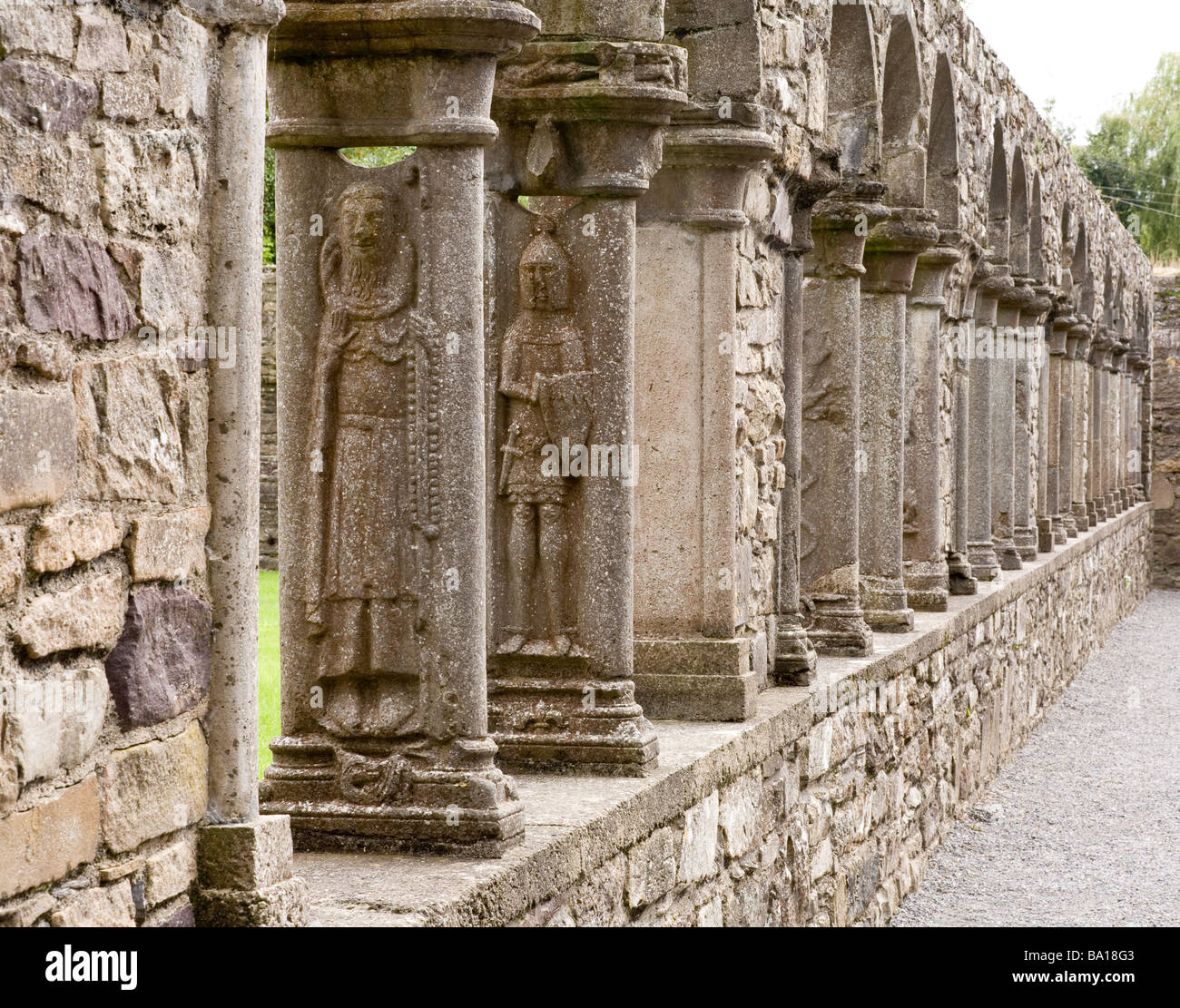 Irish abbey carvings hi-res stock photography and images - Alamy