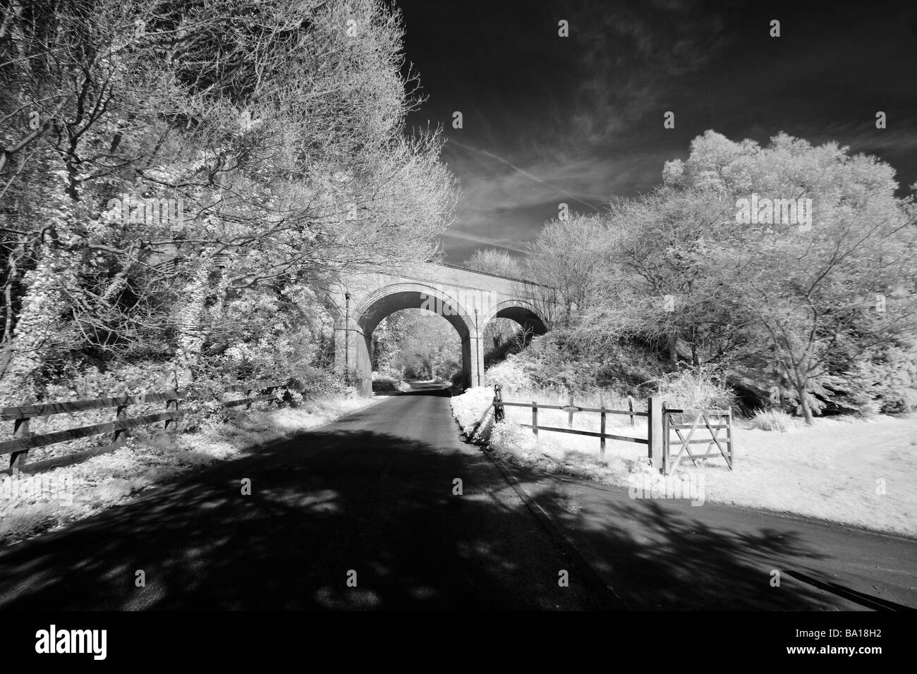 Book road in country Black and White Stock Photos & Images - Alamy