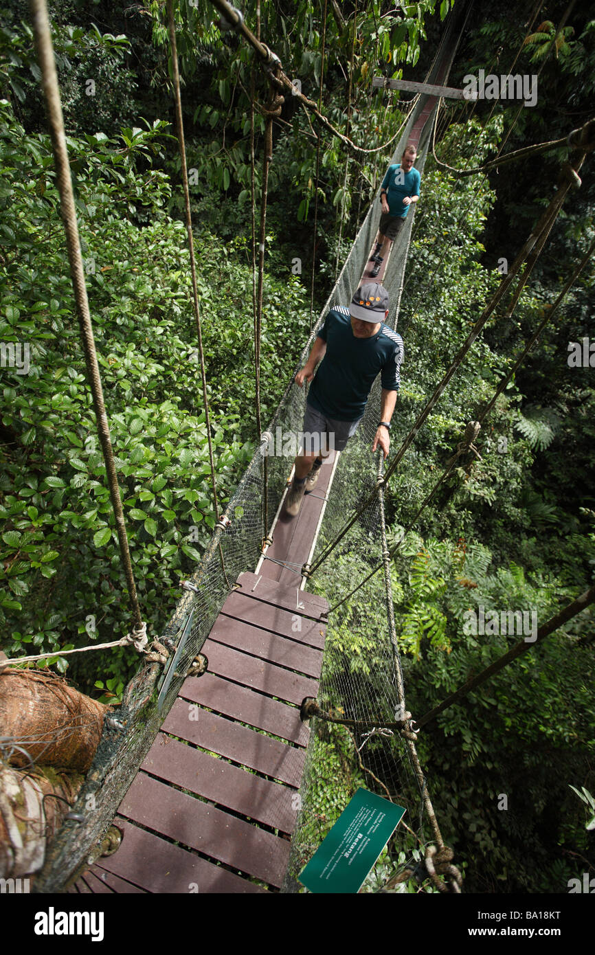 Canopy walk hi-res stock photography and images - Alamy