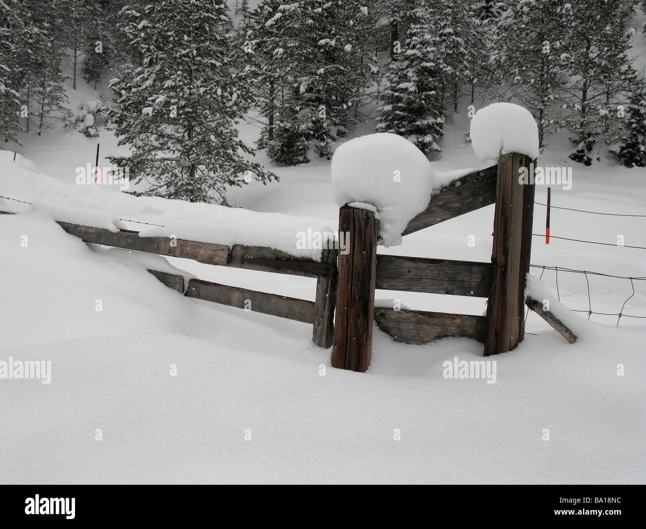 Snow covered tree with wooden fence hi-res stock photography and images ...