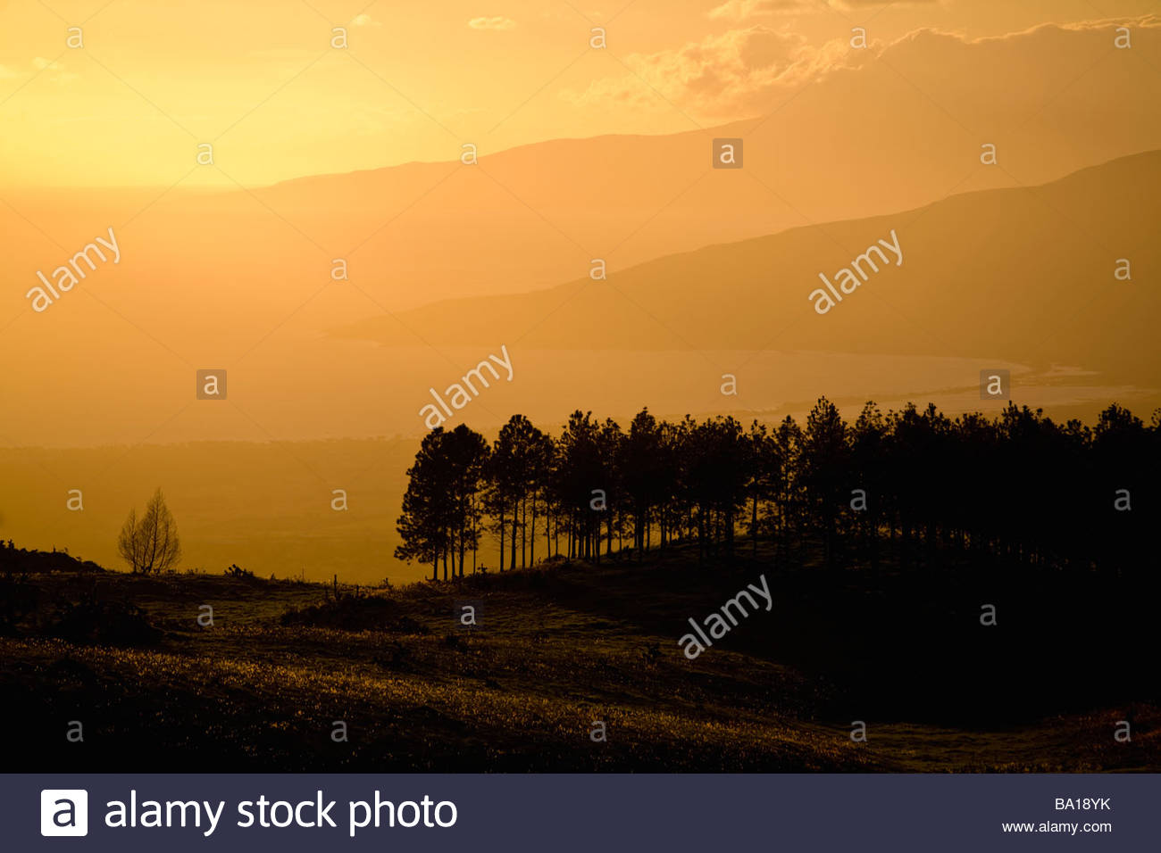 Vog High Resolution Stock Photography and Images - Alamy