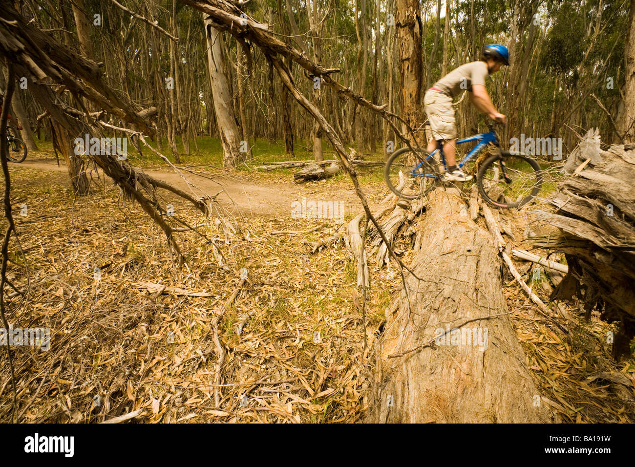 A mountain biker rides over an obstacle Stock Photo - Alamy