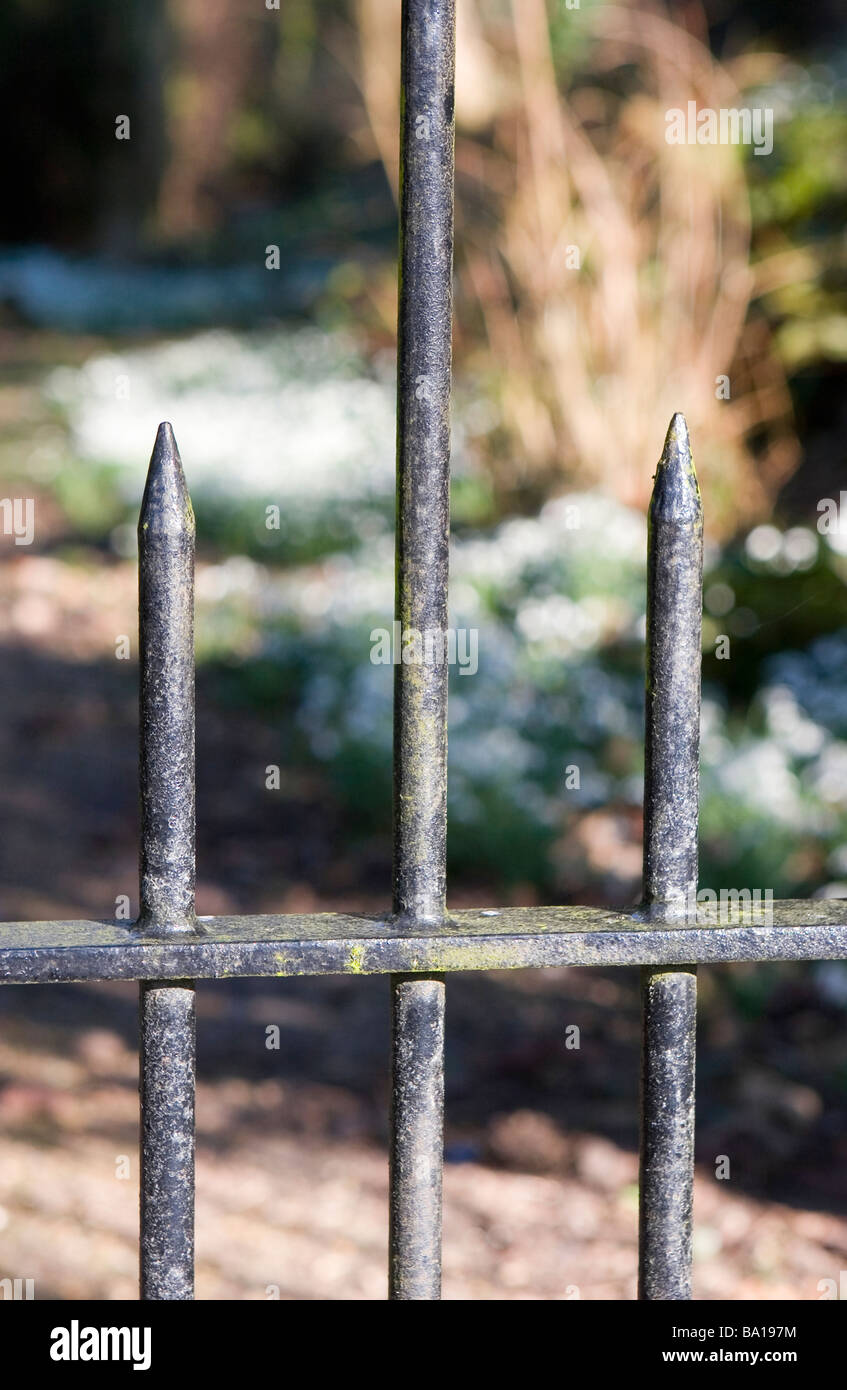 Spiked gate hi-res stock photography and images - Alamy