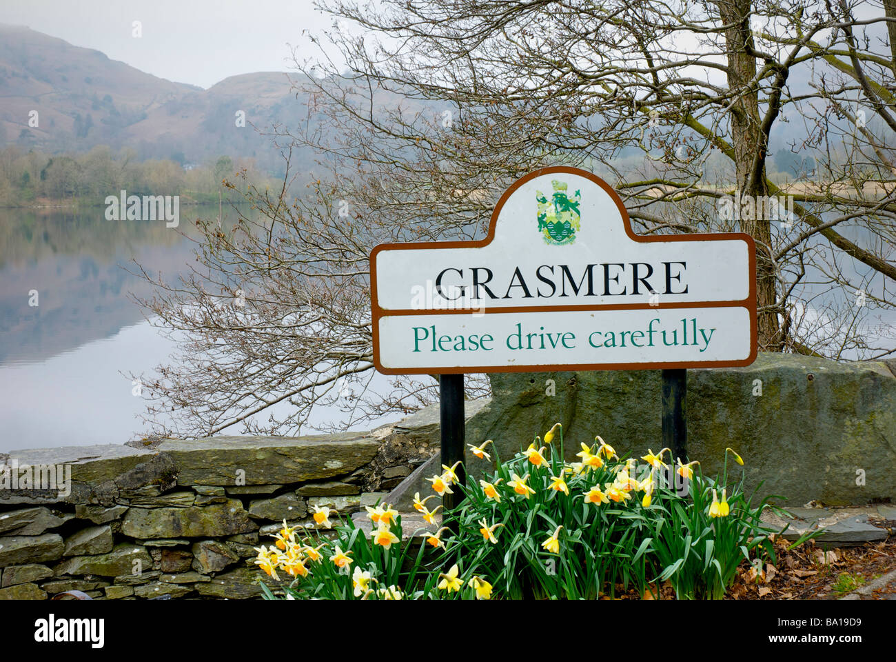 Daffodils wordsworth lake district hi-res stock photography and images ...