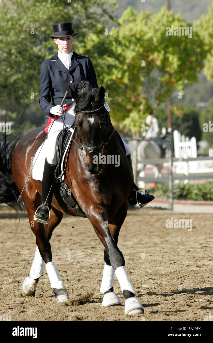 Dressage horse competition Stock Photo - Alamy