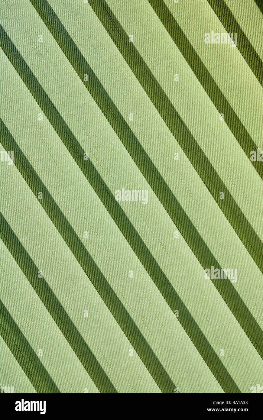 Green stripes pattern diagonal Stock Photo - Alamy