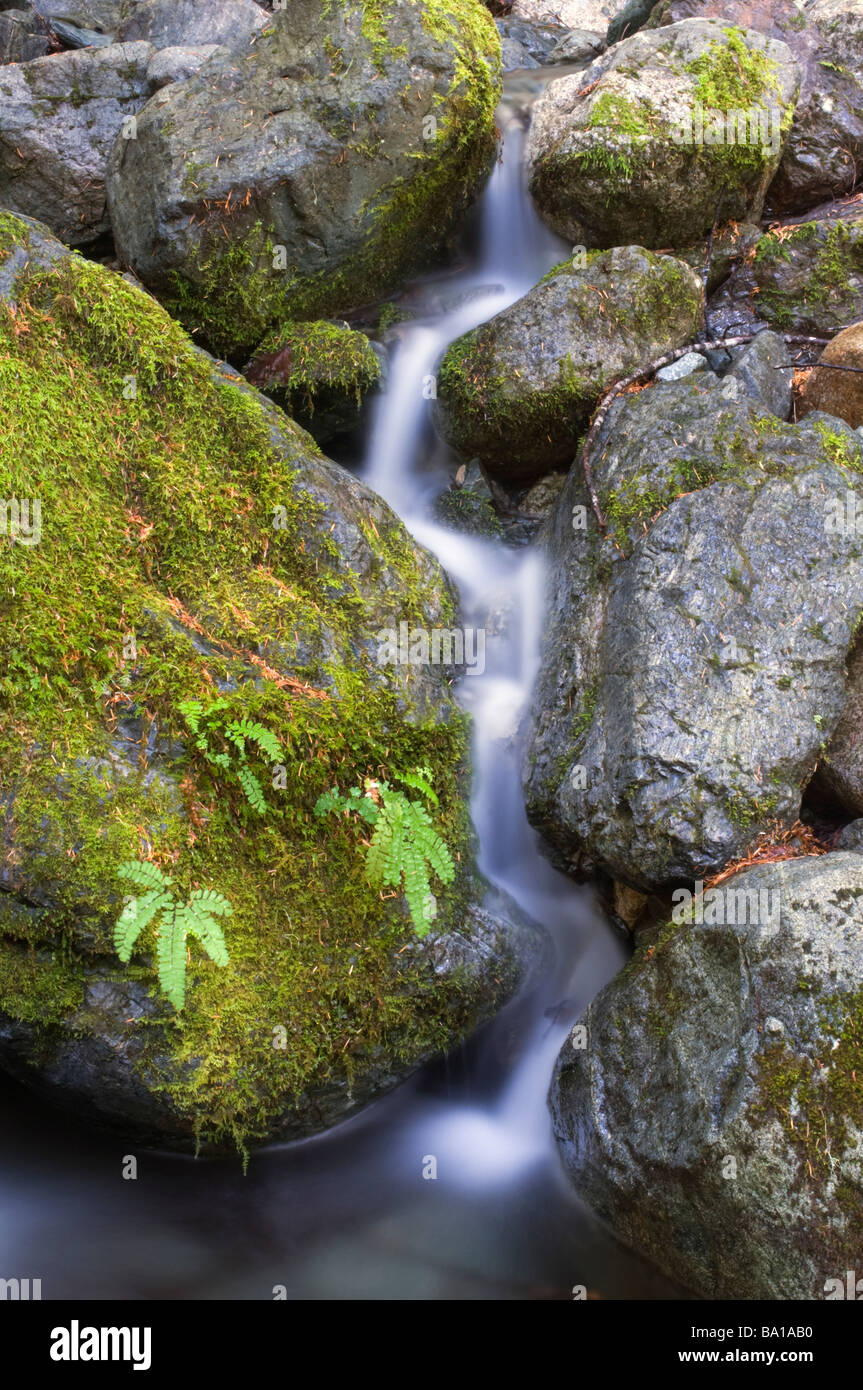 Myra falls waterfall hi-res stock photography and images - Alamy