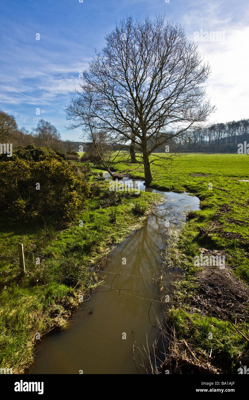 Rural scene Ulverscroft leicestershire Stock Photo - Alamy