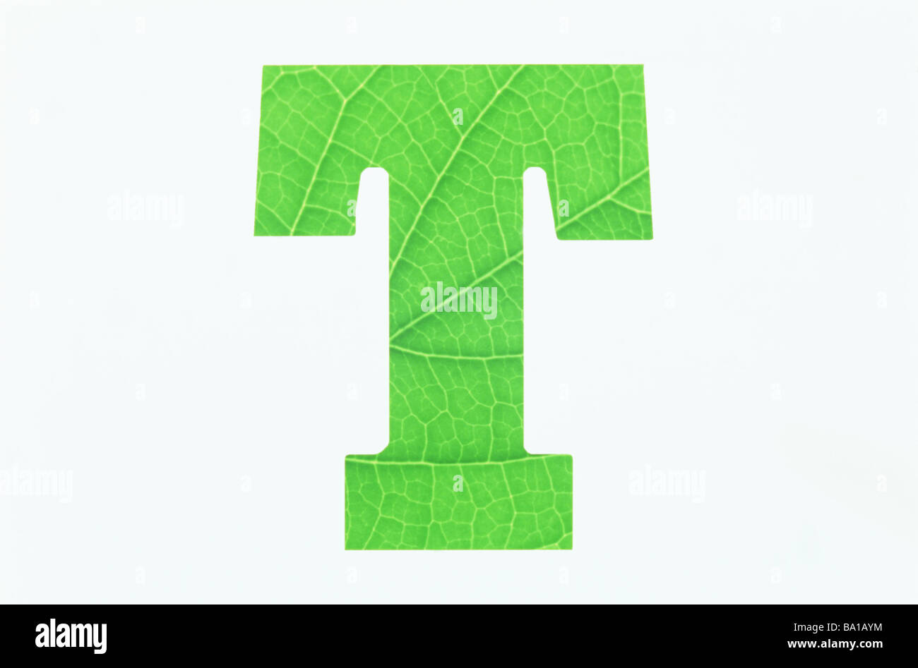 Green Alphabet T on White Background Stock Photo - Alamy