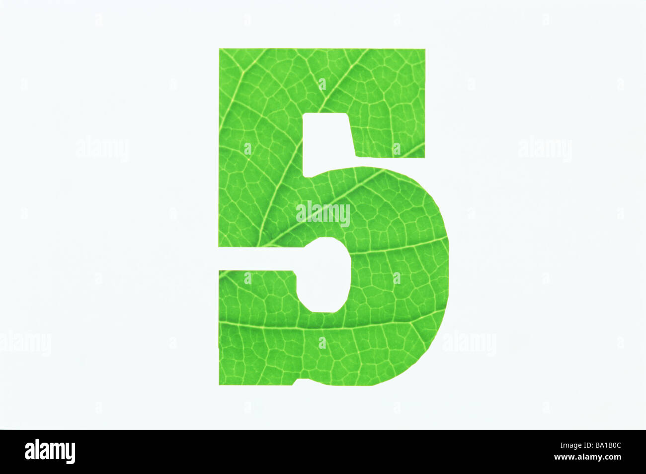 Green Number 5 on White Background Stock Photo - Alamy
