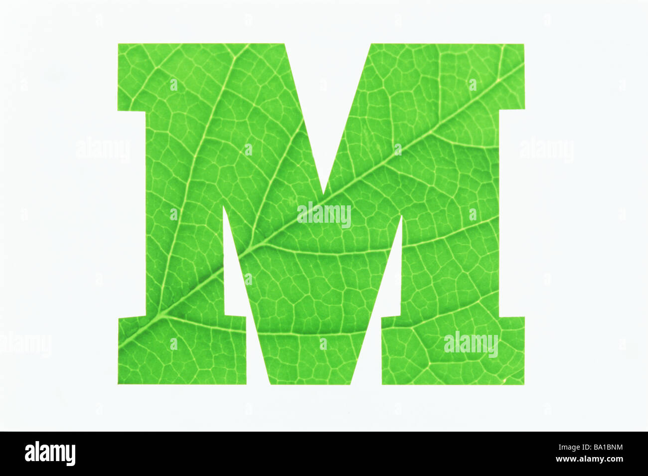 Green Letter M